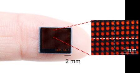 Korean researchers develop high-speed camera inspired by insect eyes ...