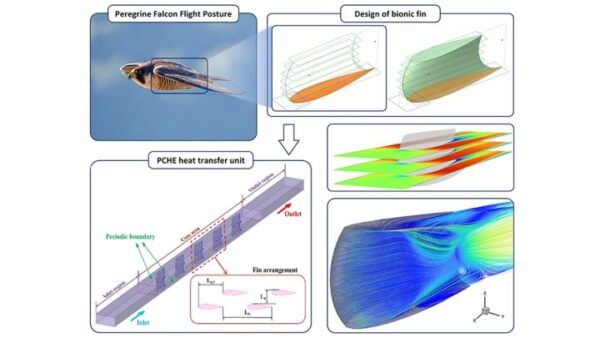 Peregrine falcon inspires hydrogen aircraft heat exchanger fins ...
